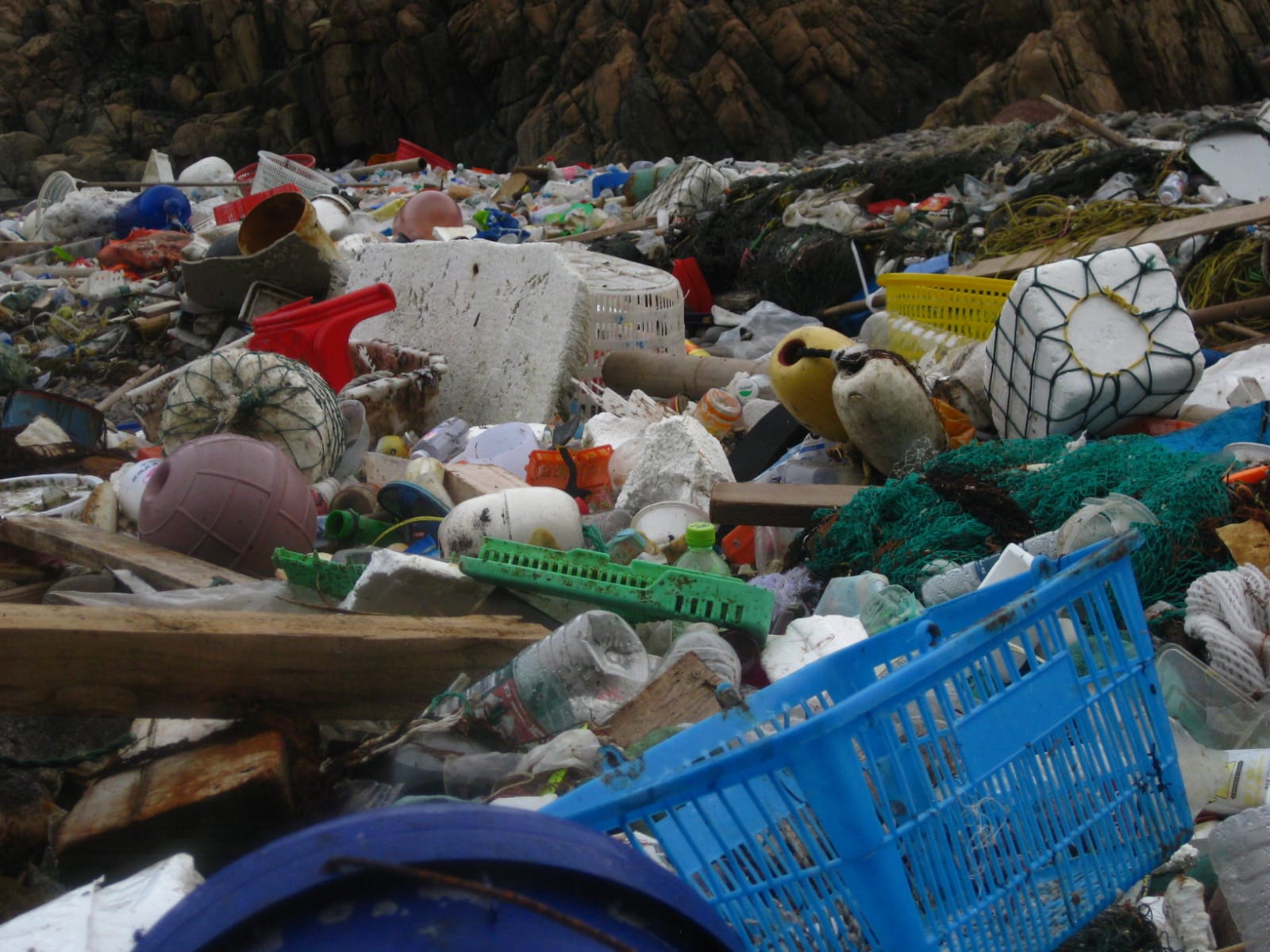 How can GPT AI help Harry save the oceans? - Guildhawk